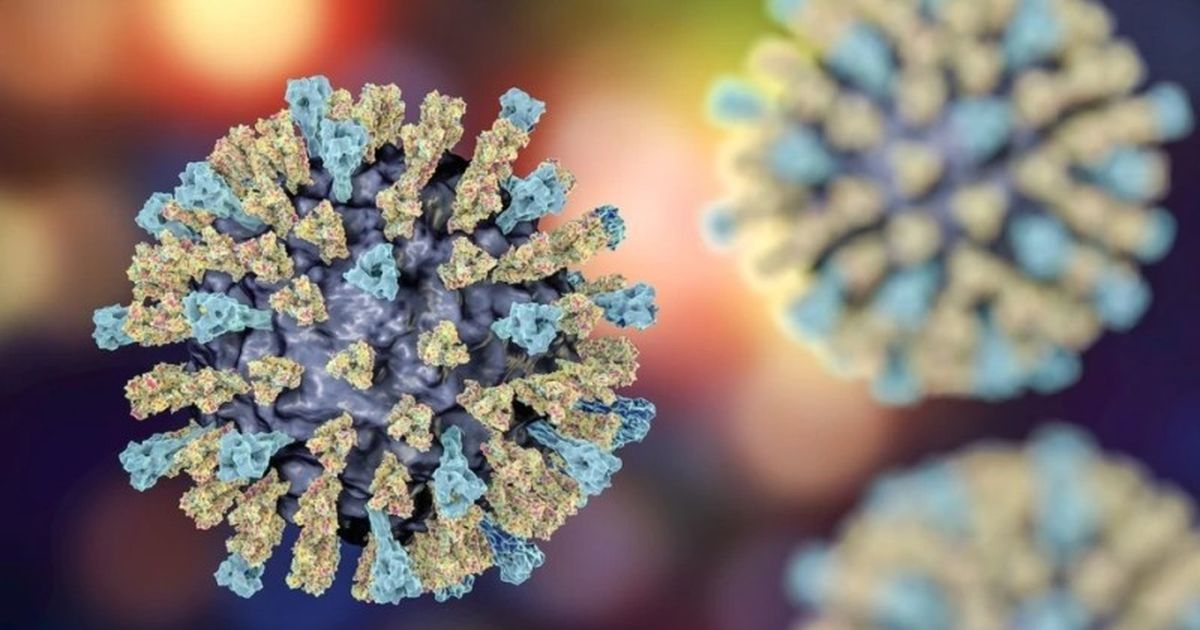 Một trong những virus lây lan nhanh nhất thế giới